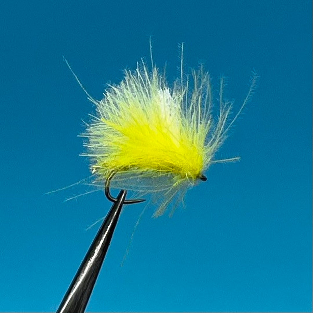 Cornfed Yellow Sally 3-pack - Etsy