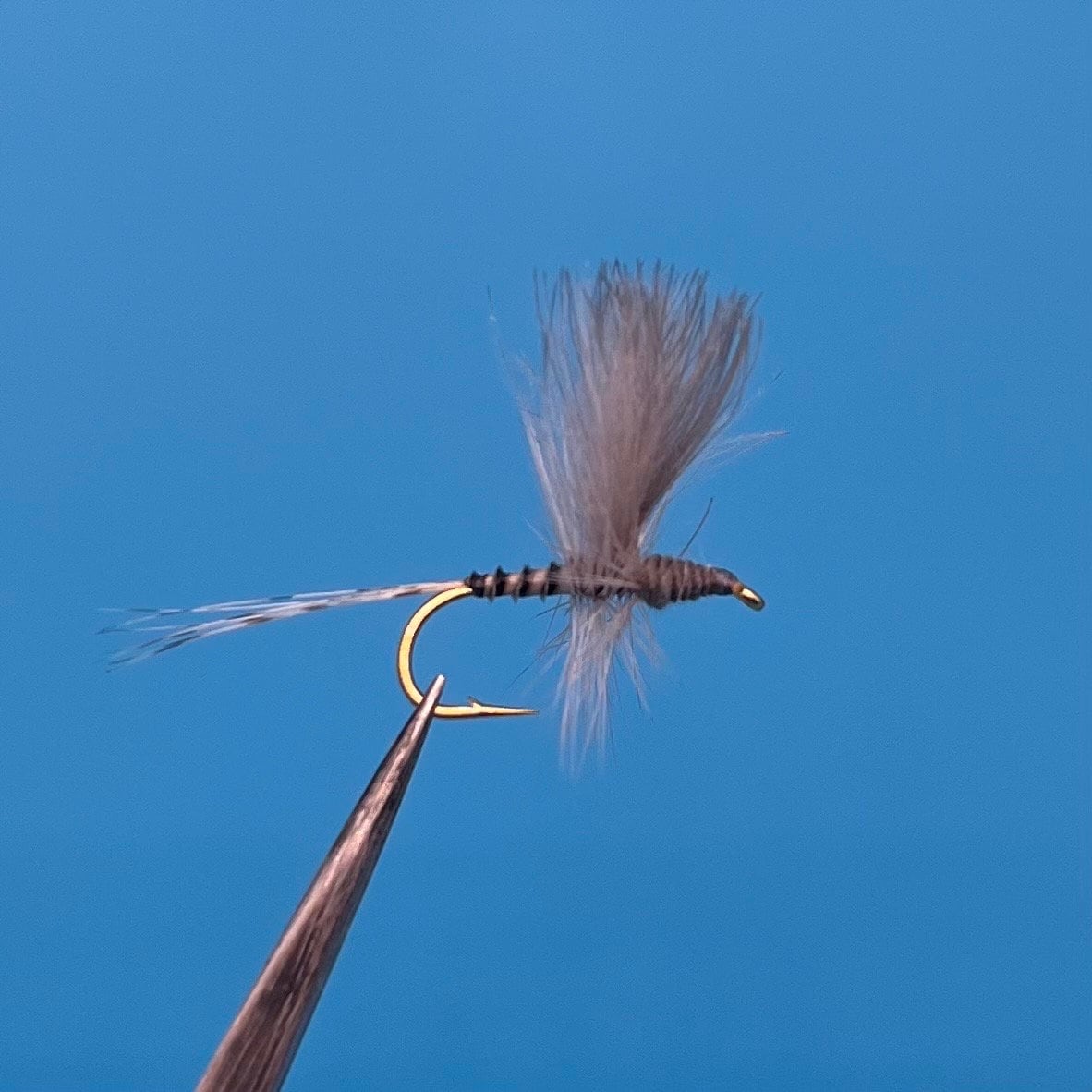 Quill Gordon CDC Thorax Dun, 3-pack - Etsy