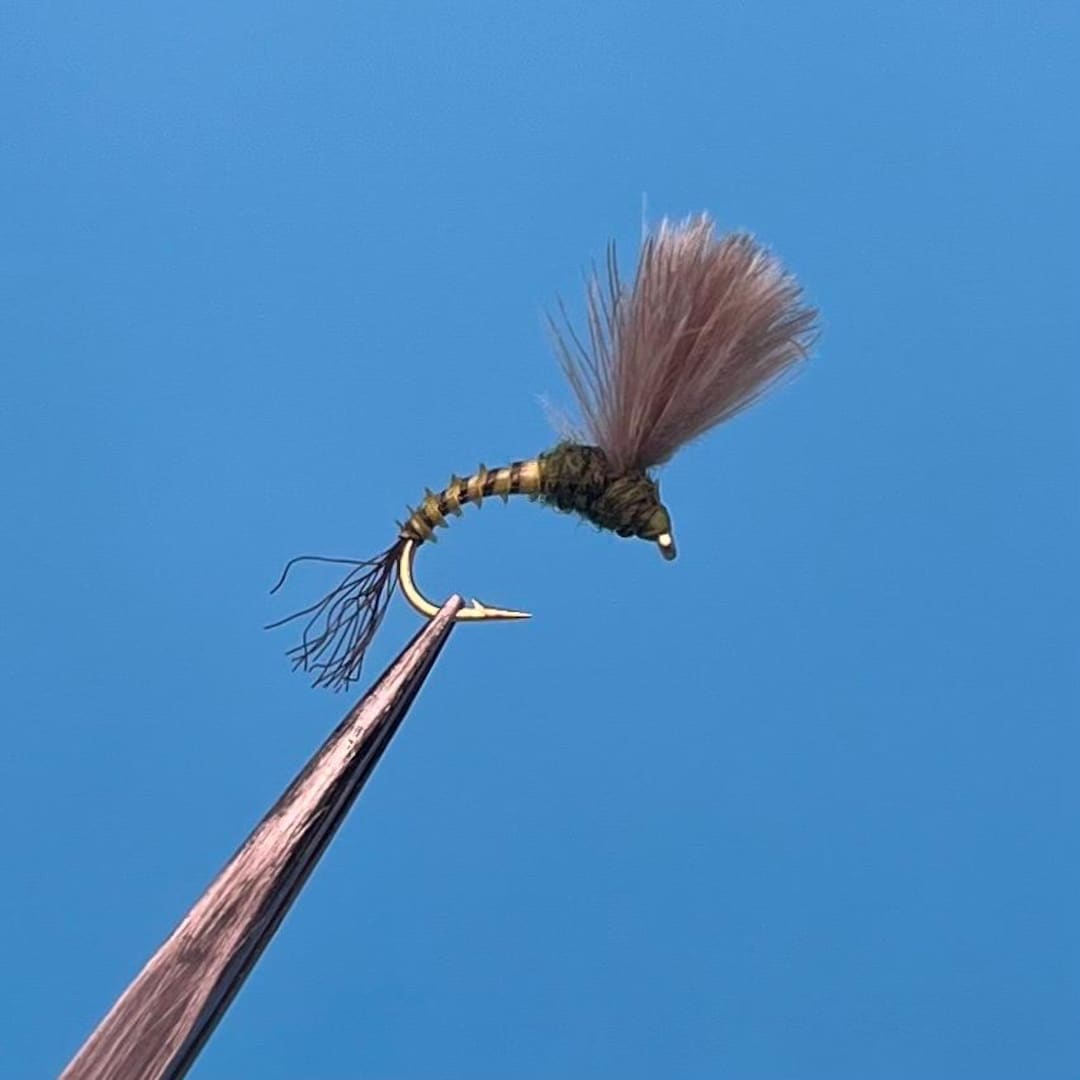 BWO CDC Emerger, 3-pack - Etsy