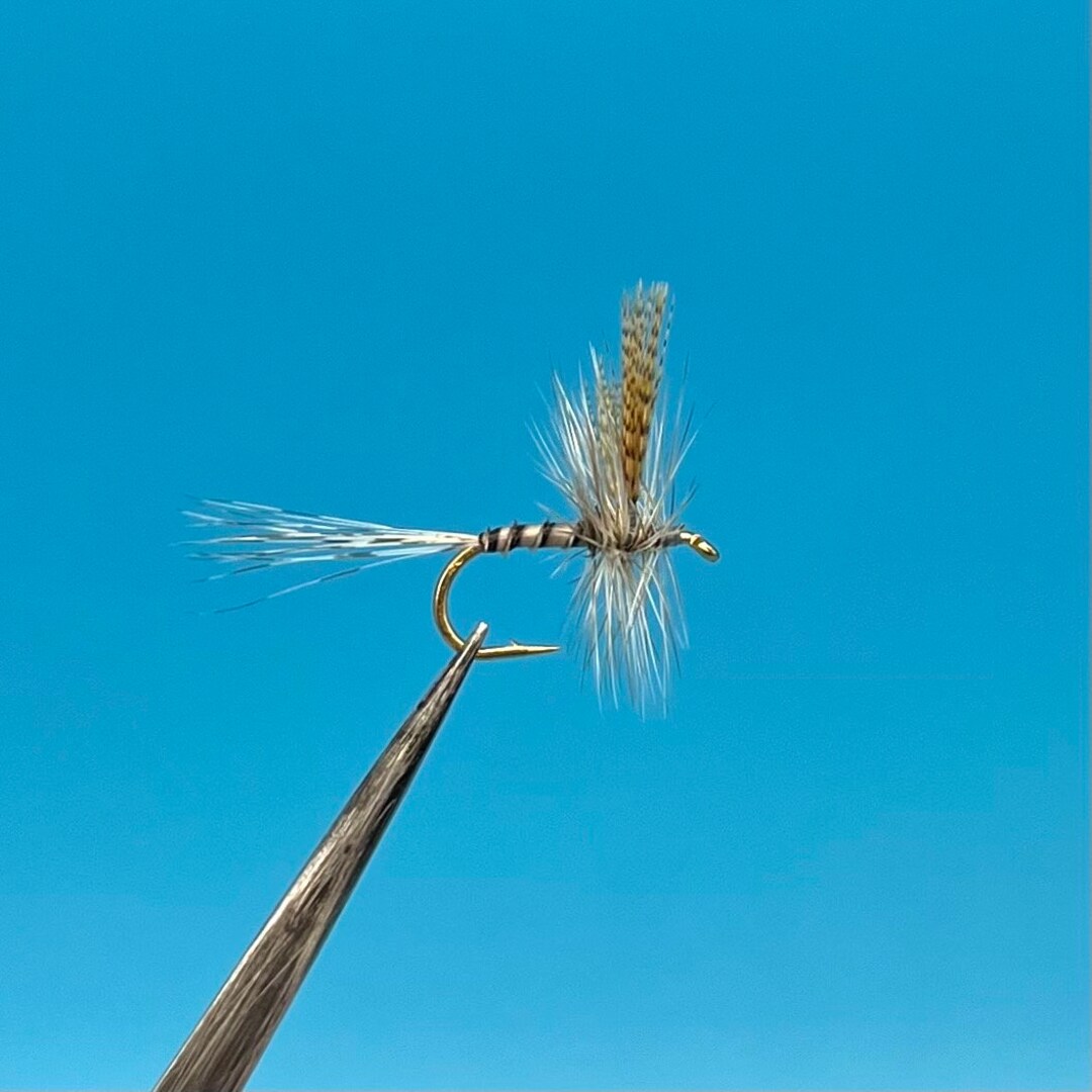 Quill Gordon Traditional, 3-pack - Etsy