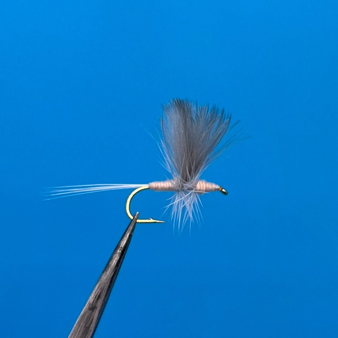 Light Hendrickson CDC Thorax Dun, 3-pack - Etsy