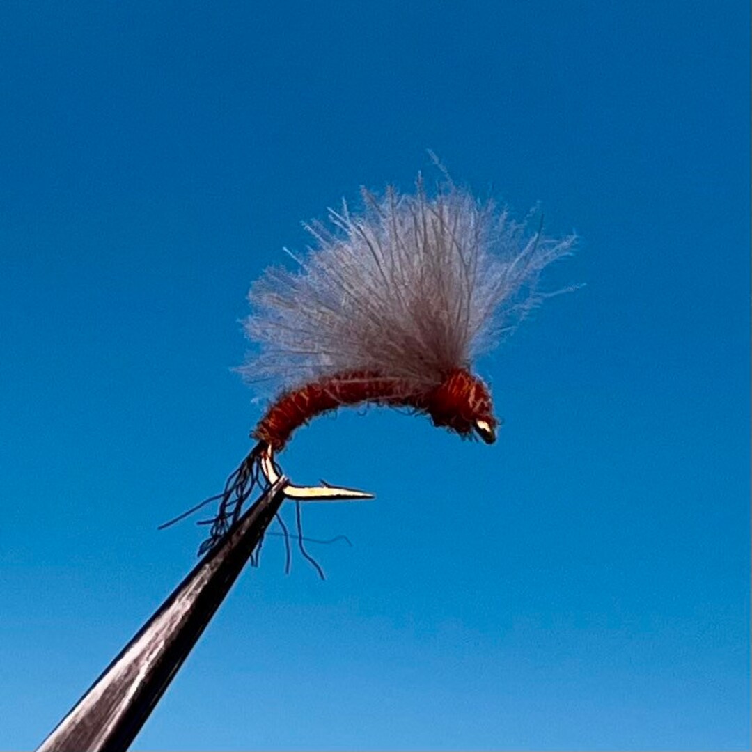 Red Quill (hendrickson) Emerger, 3-pack - Etsy