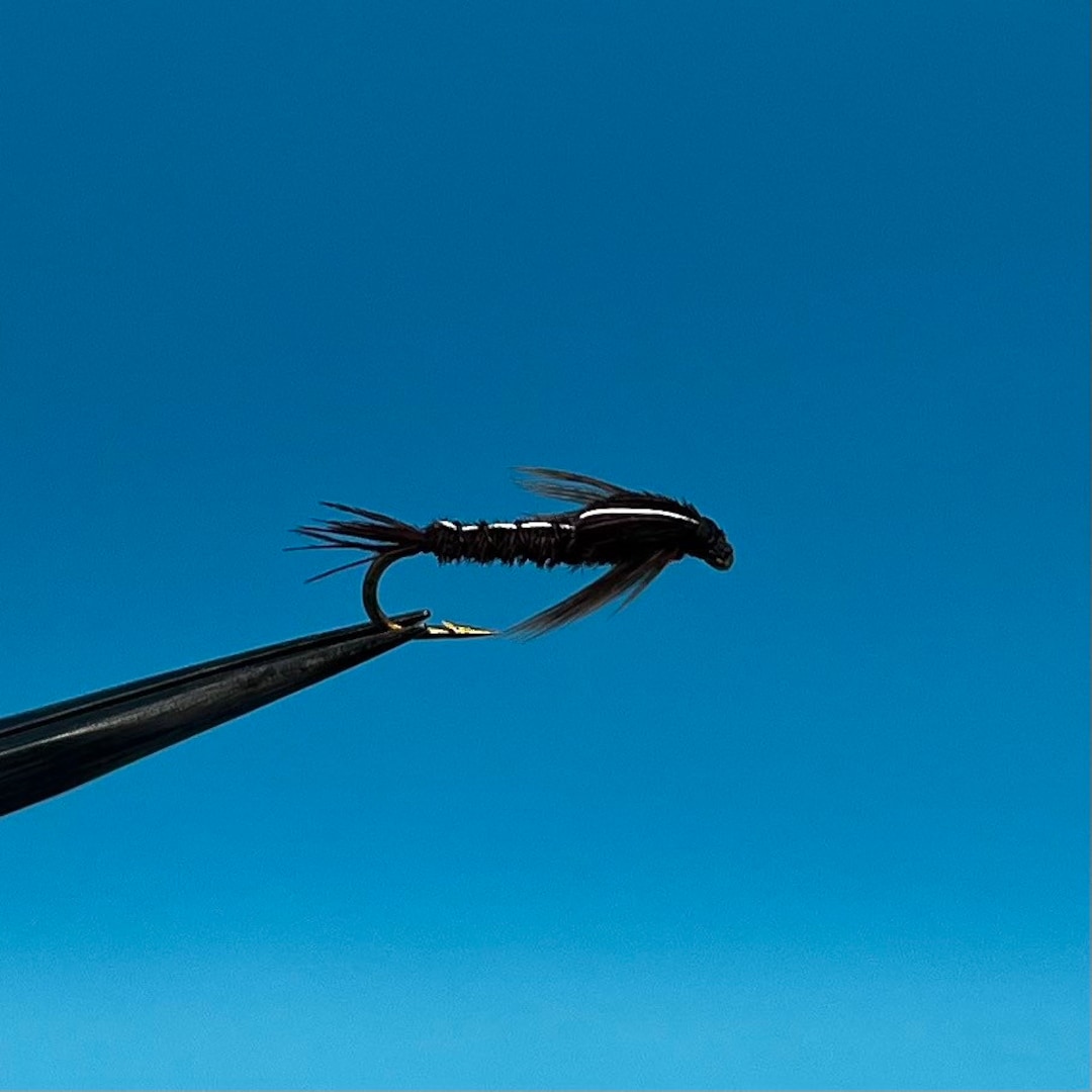 Isonychia Nymph, 3-pack - Etsy