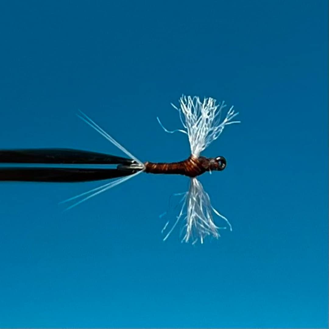 Trigger Spinner rusty, 3-pack - Etsy