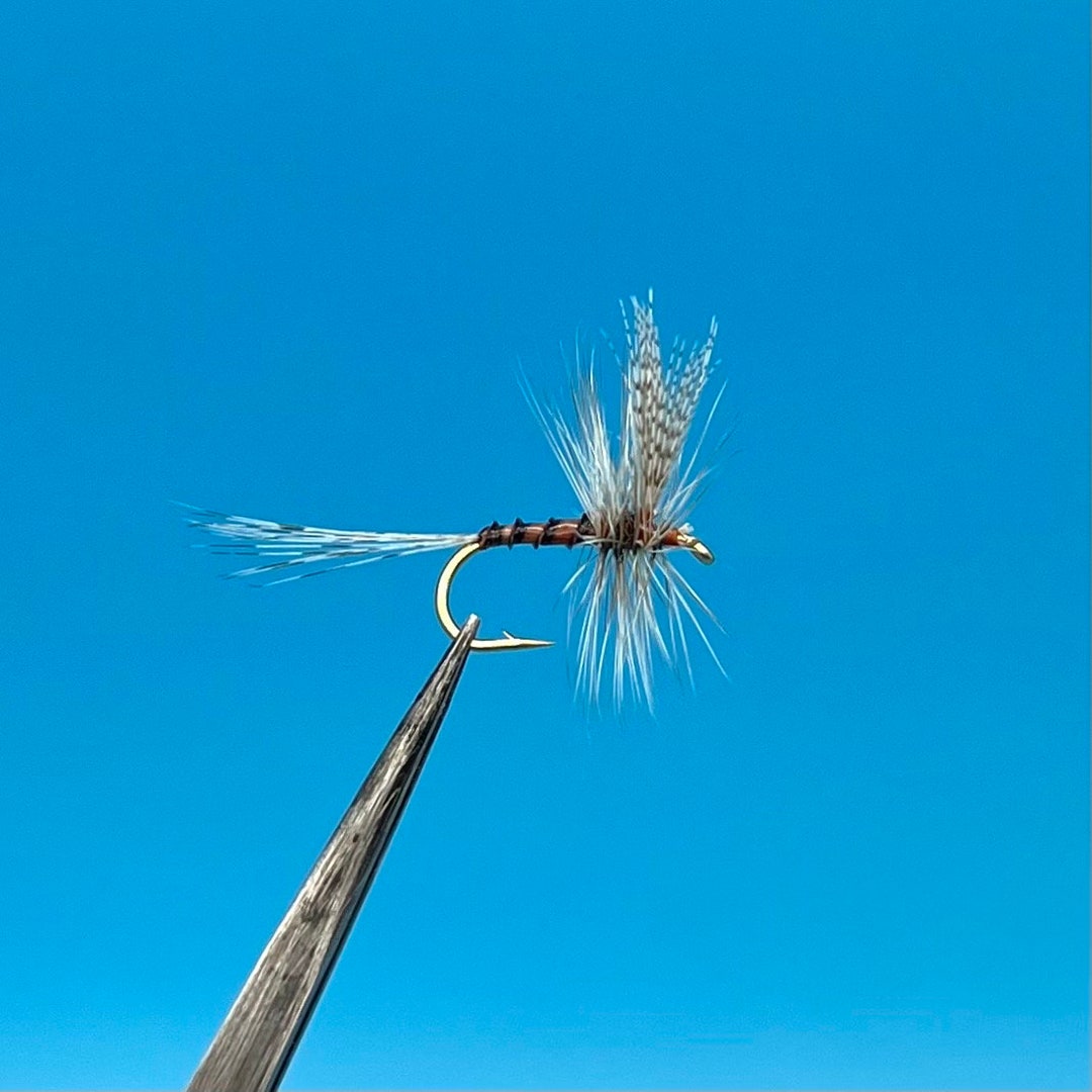 Red Quill (hendrickson) Traditional, 3-pack - Etsy