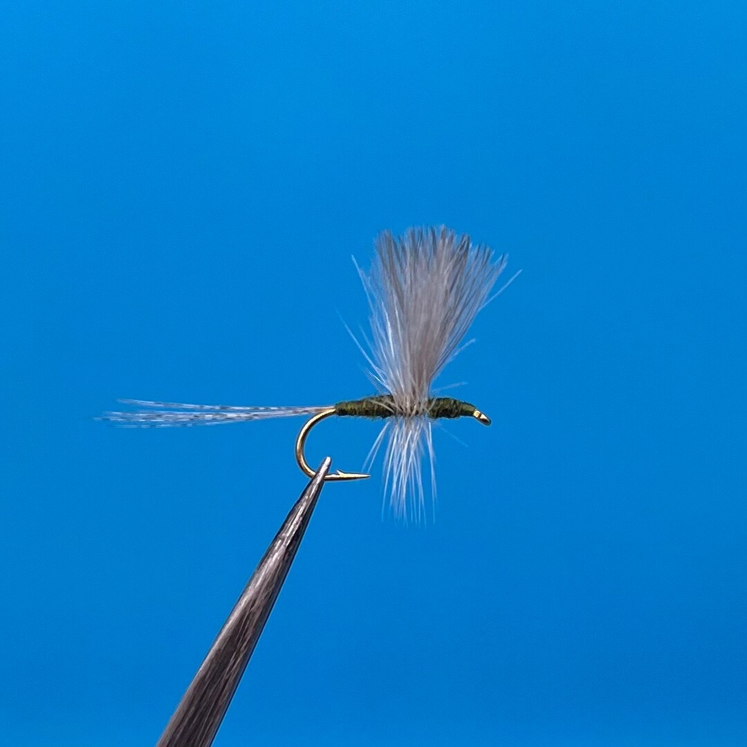 Blue Winged Olive CDC Thorax Dun, 3-pack - Etsy