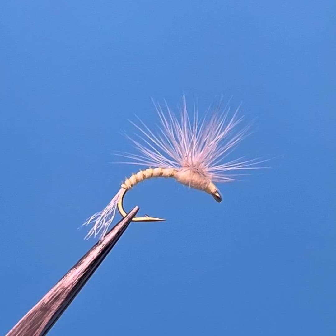 Light Cahill Hackle Stacked Emerger, 3-pack - Etsy