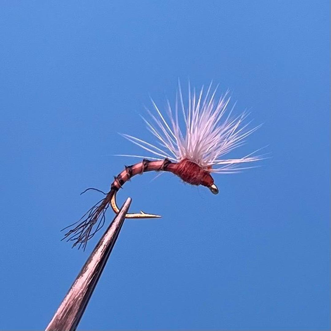 Red Quill Hackle Stacked Emerger, 3-pack - Etsy