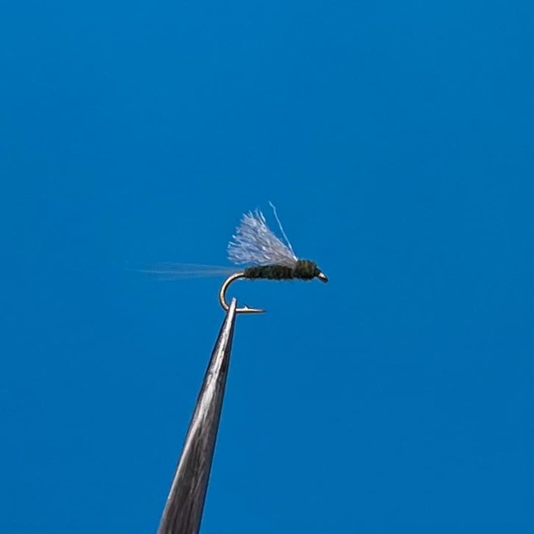 RS2 (olive), 3-pack - Etsy