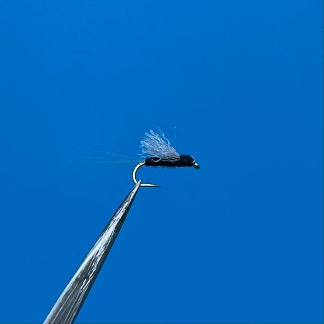 RS2 (black), 3-pack - Etsy