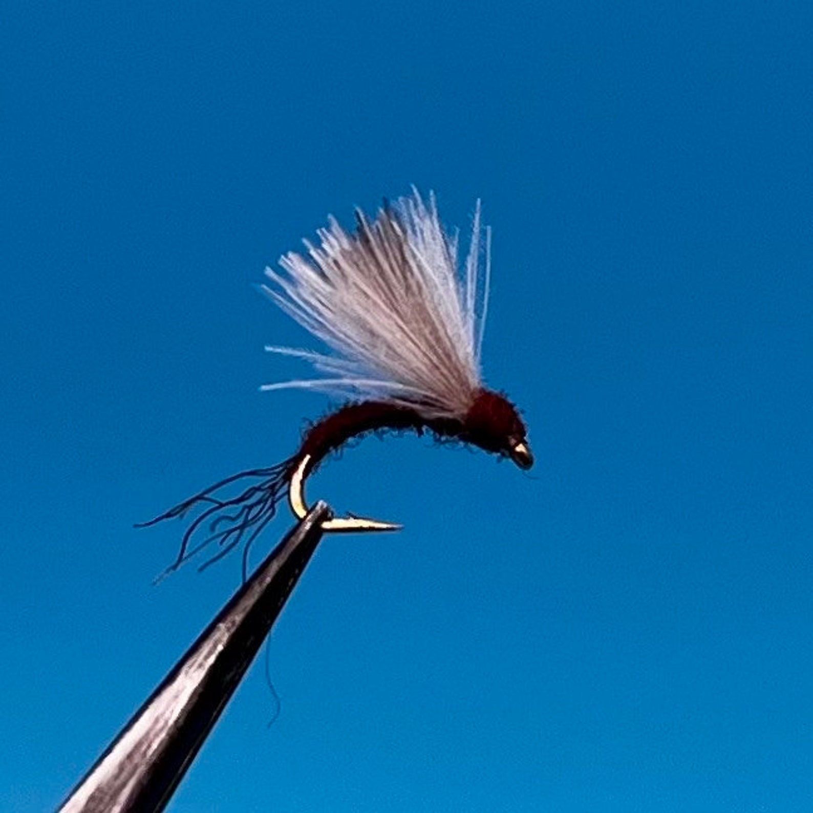 Little Blue Quill (mahogany Dun) CDC Emerger, 3-pack - Etsy