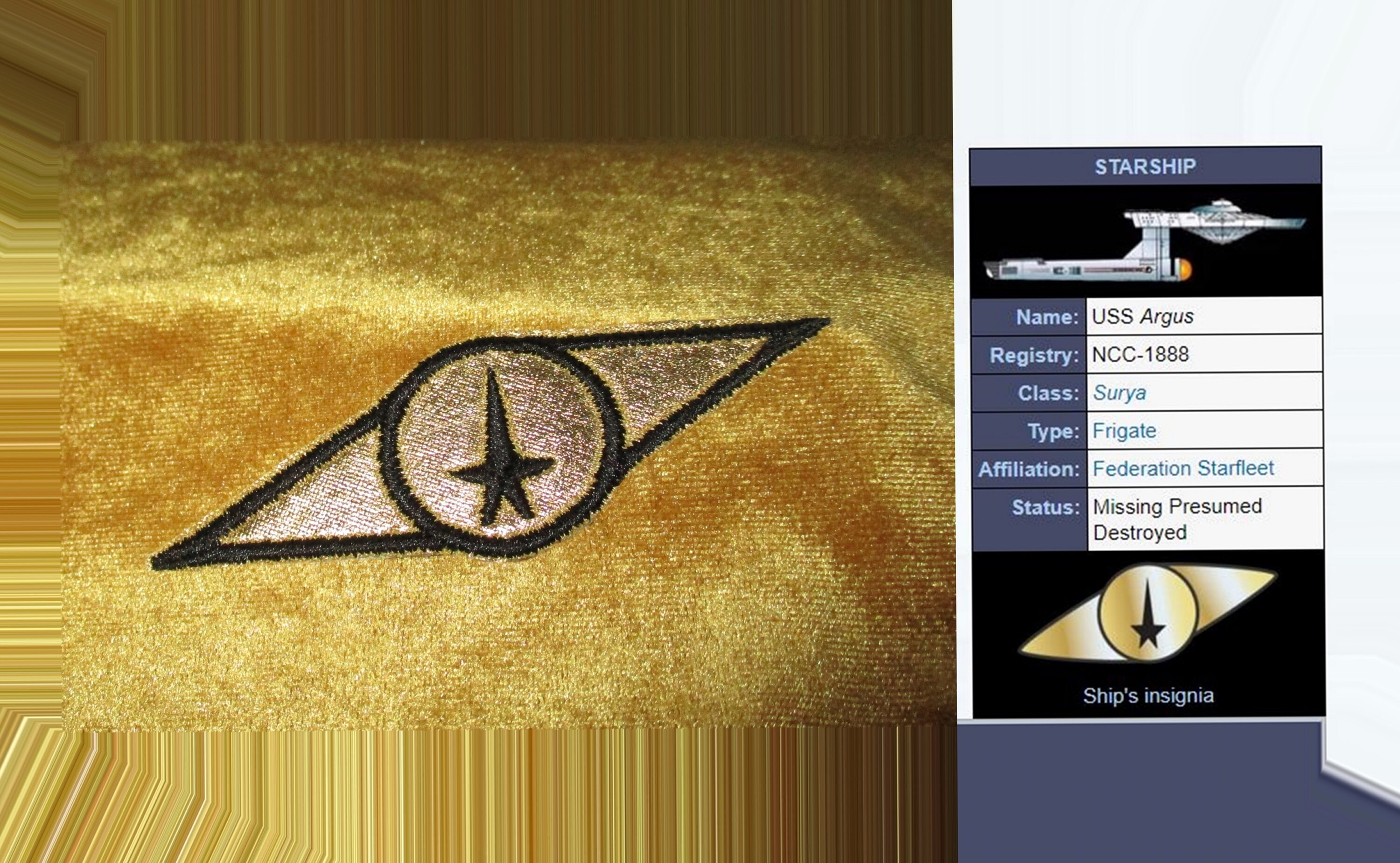 Star Trek TOS Patch Insignia Badge Uniform Science | Etsy