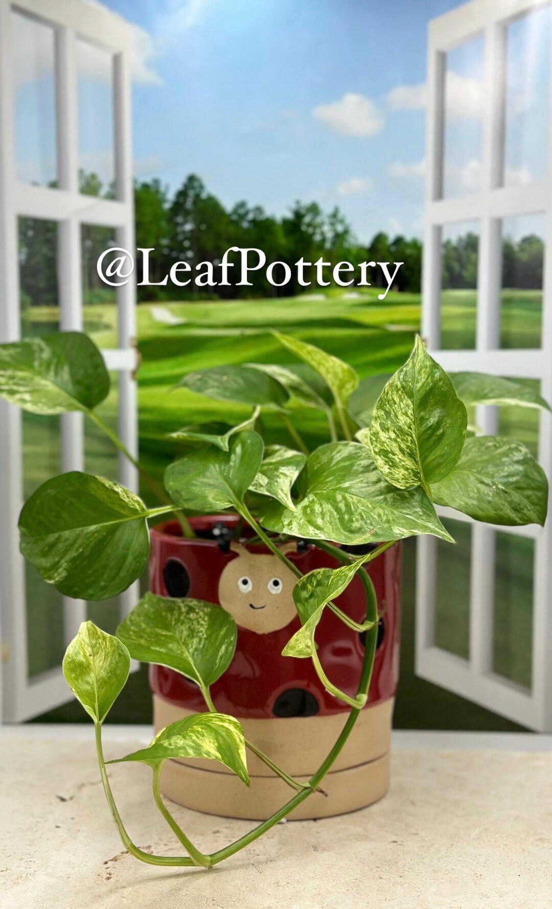 Miss Ladybug Red/black Ceramic Planter Pot With Saucer Attached ...