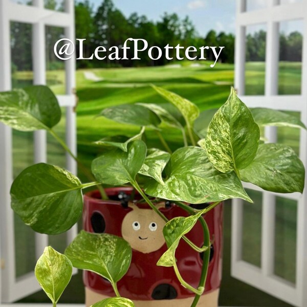 Ladybug Planters - Etsy