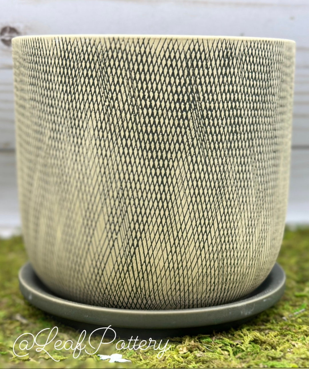 Greich Gray/beige Ceramic Planterpot With Saucer Attached/planters and ...