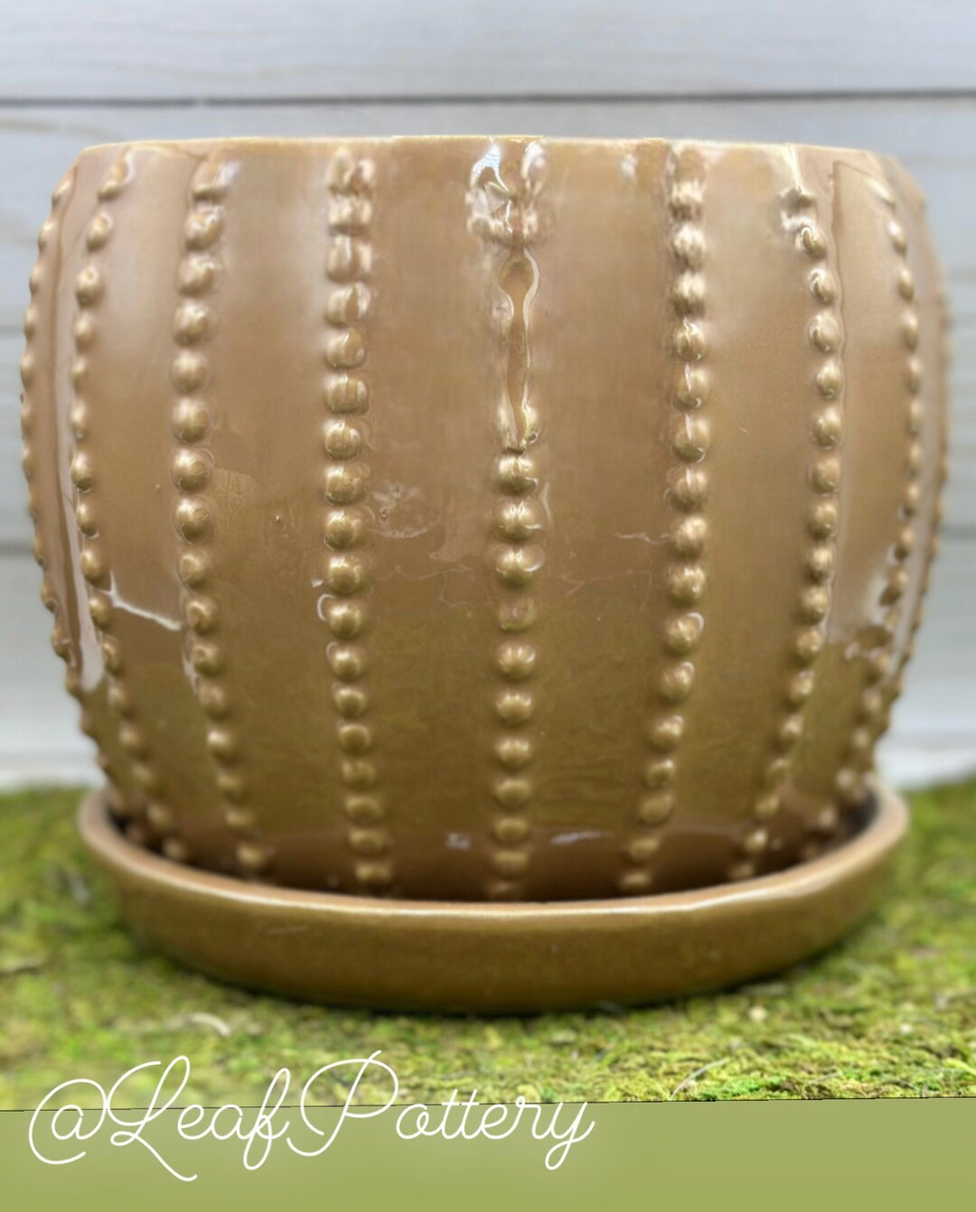 Caramelito Toffee Ceramic Planter Pot With Saucer Attached/ Planters ...