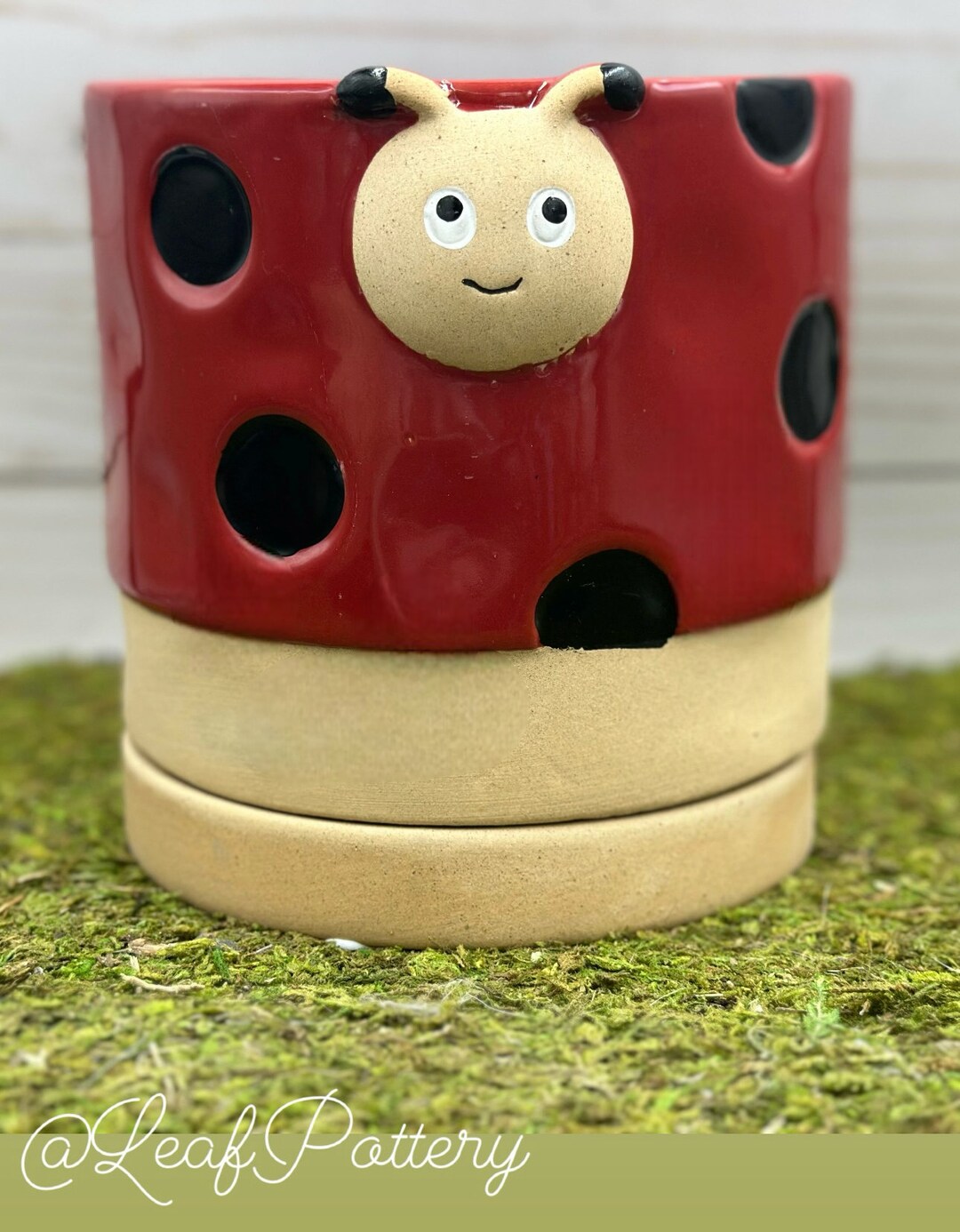 Miss Ladybug Red/black Ceramic Planter Pot With Saucer Attached ...