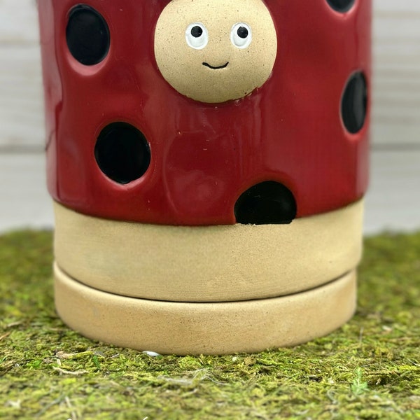 Ladybug Planters - Etsy