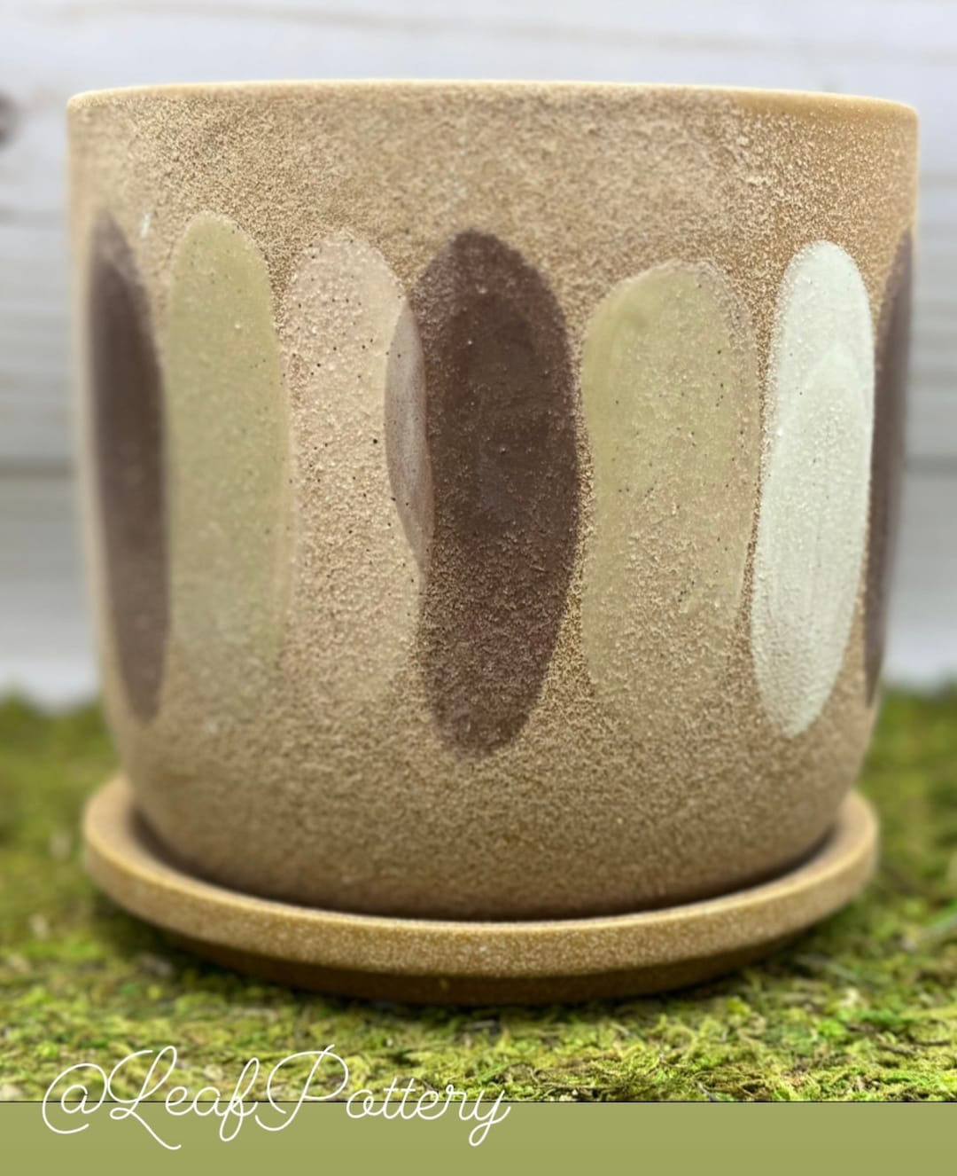 Skims Neutral Colors ceramicplanterpot With Saucer Attached/planters ...