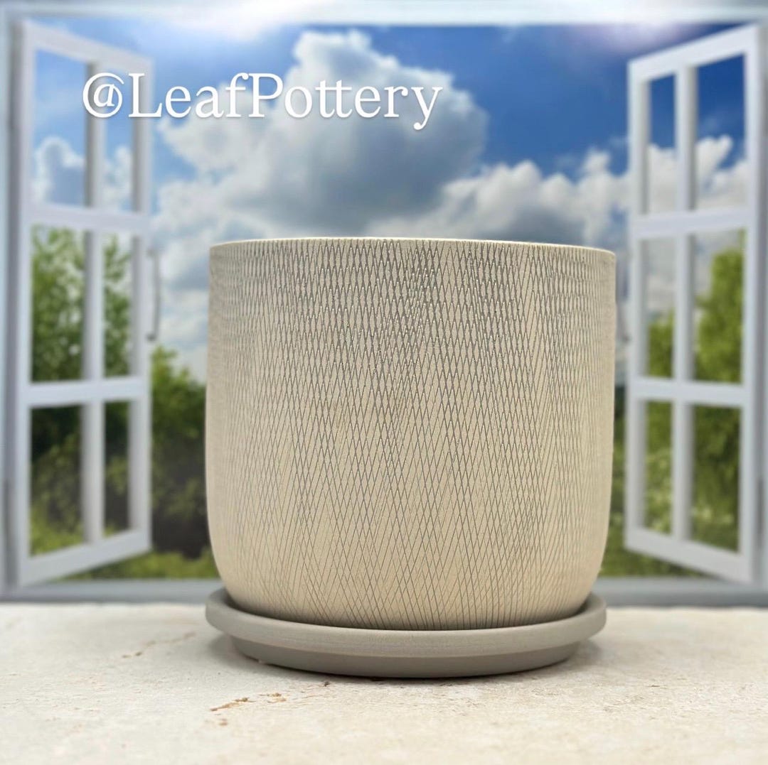 Greich Beige/light Gray Ceramic Planter pot With Saucer Attached ...