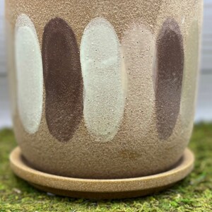 Skims Neutral Colors ceramicplanterpot With Saucer Attached/planters ...