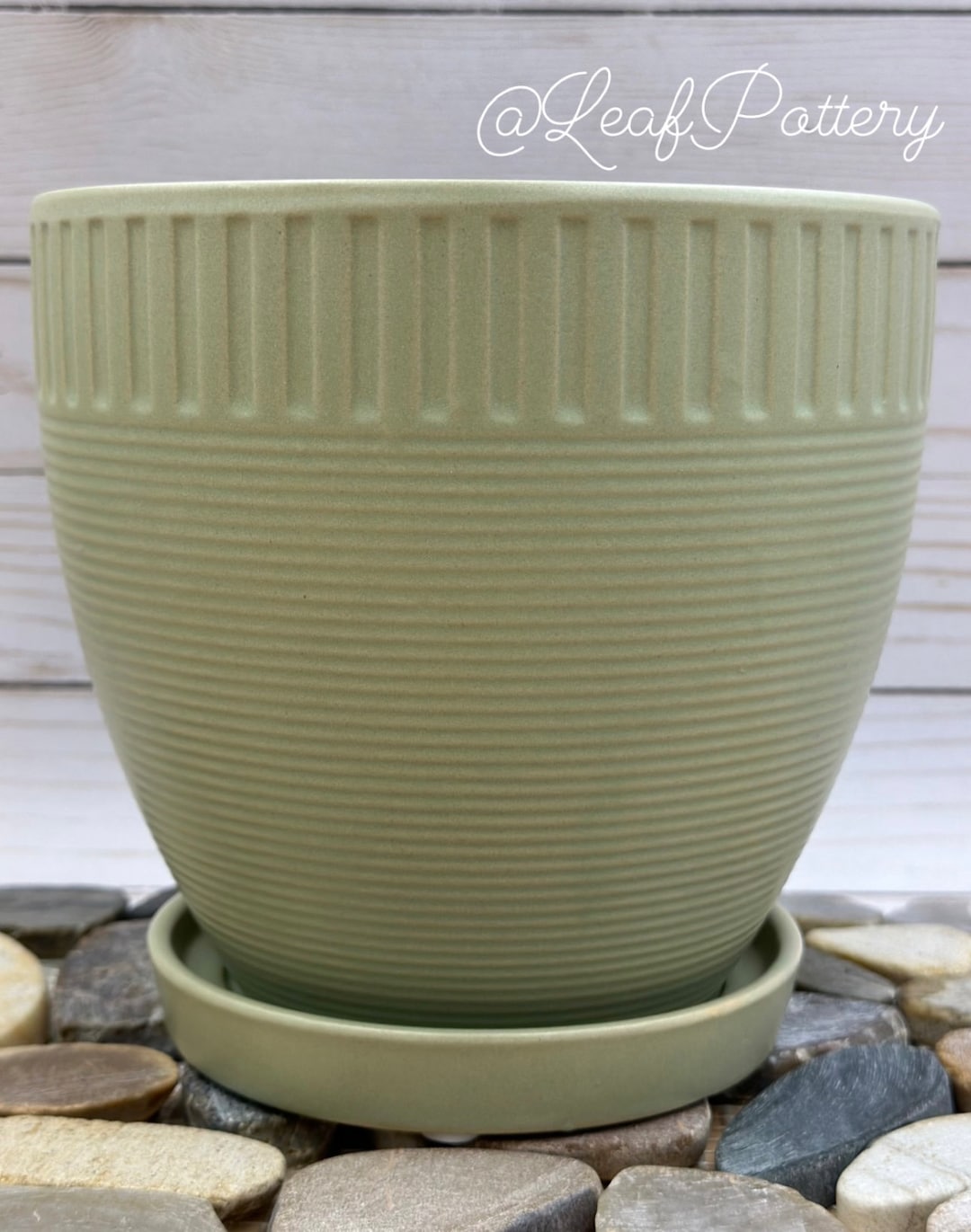 Ahleya Sage Ceramic Planter Pot With Saucer Attached/ Indoor Planters ...