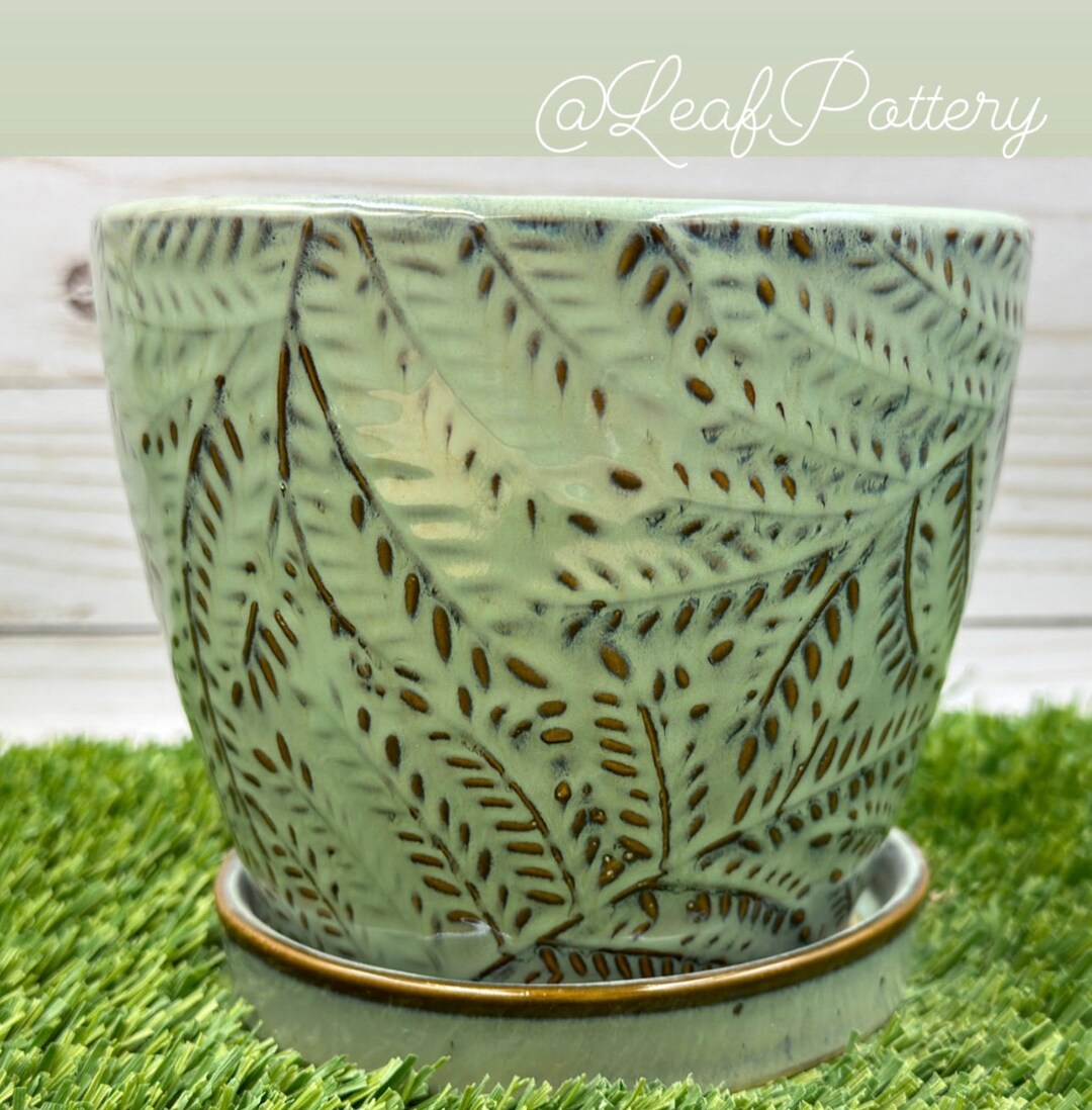 Aquamarine Fern Ceramic Planter Pot With Saucer Attached - Etsy