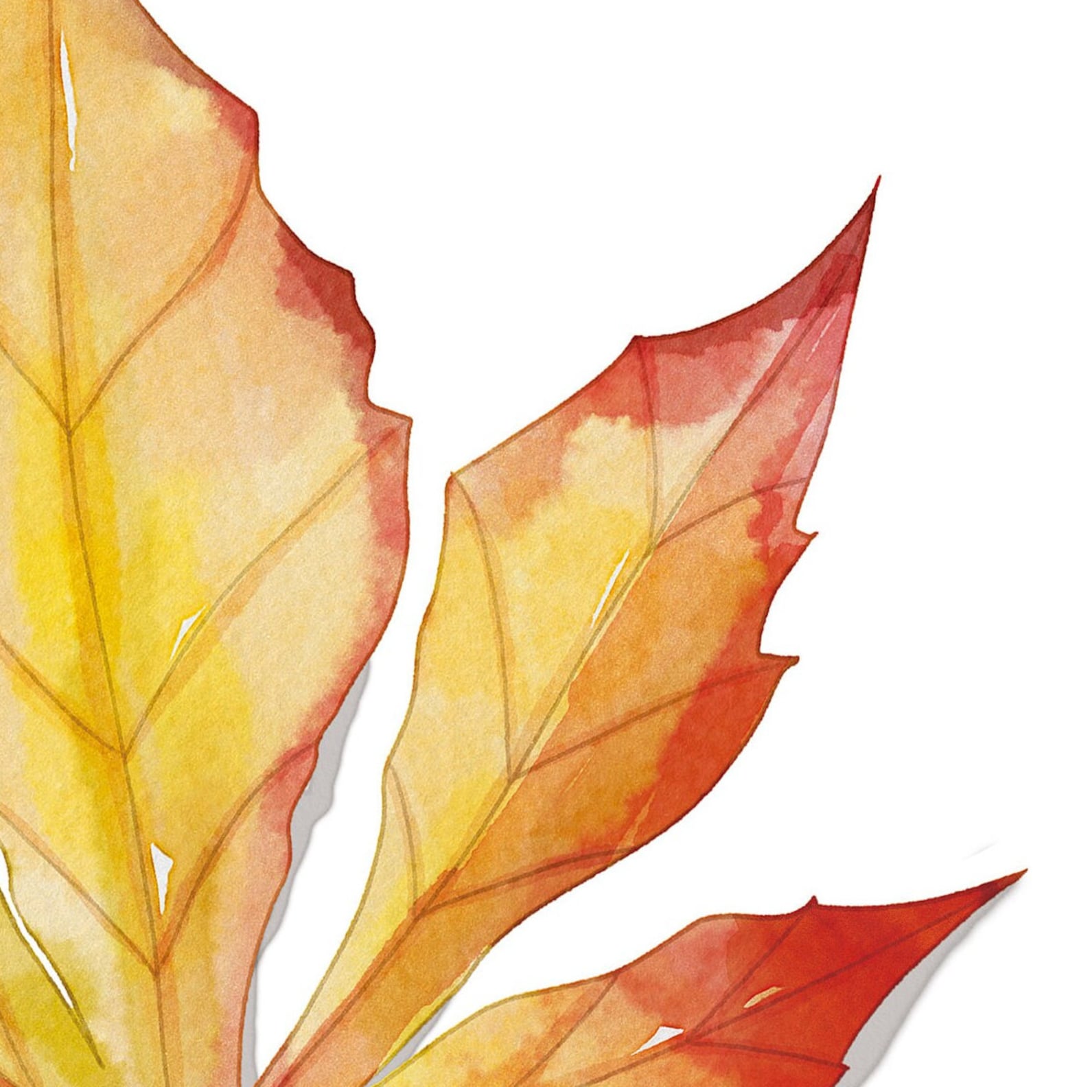 Fall Leaves Maple Leaf Wall Art Watercolor Fall Printable Autumn Leaves ...