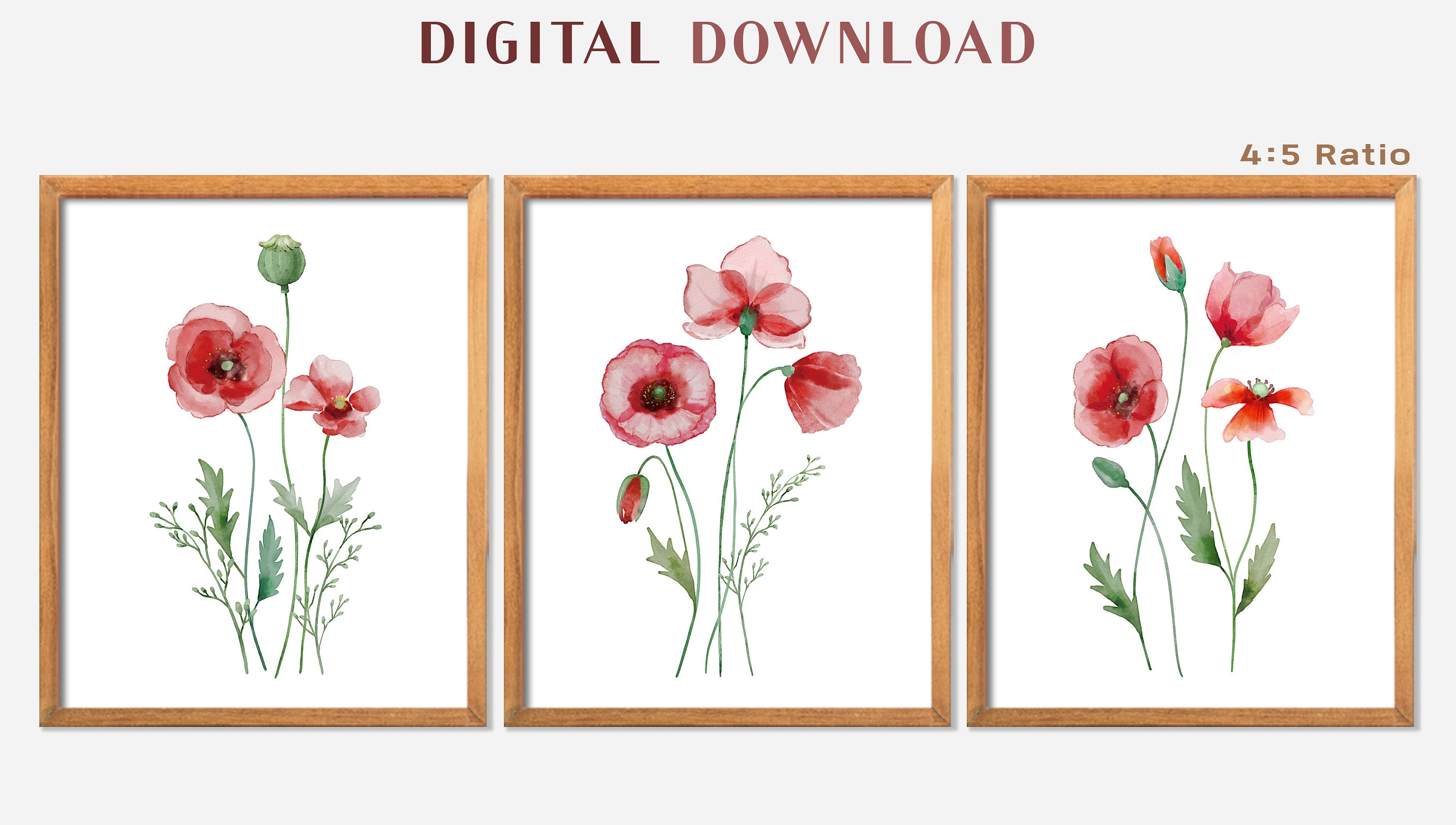 Red Poppy Watercolor Poppy Print Set of 3 Prints Flowers - Etsy