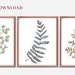 Watercolor Neutral Botanical Wall Art, Abstract Botanical Print Set of ...