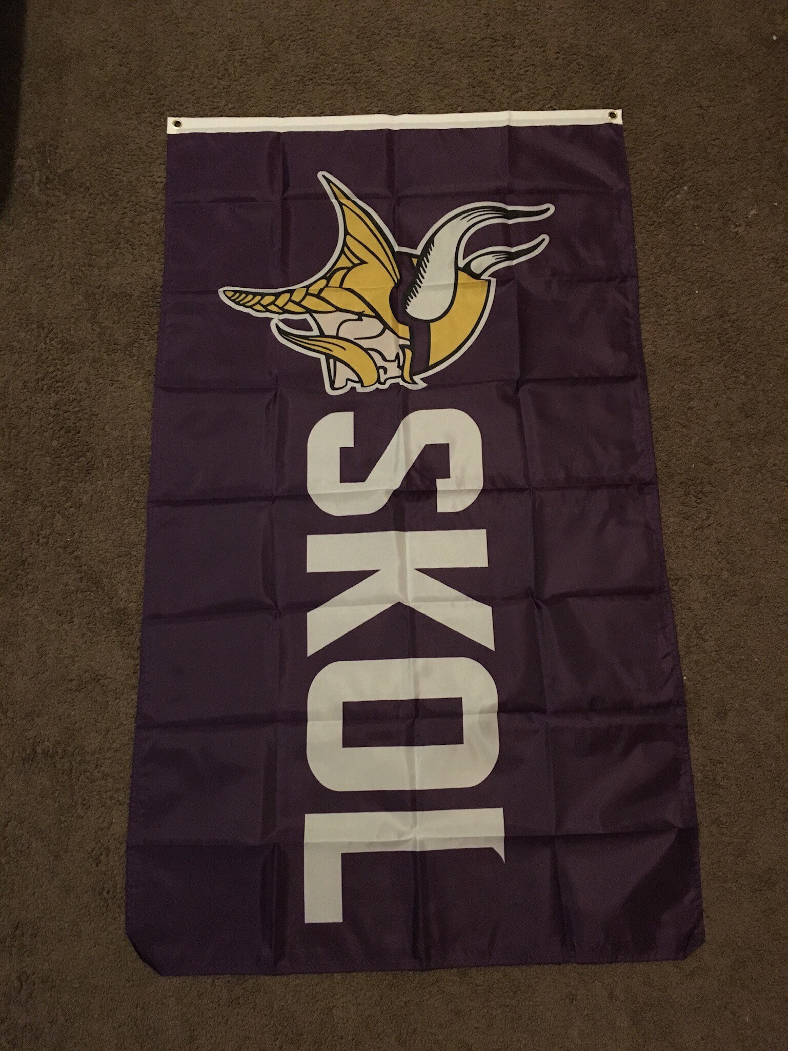 Minnesota Vikings SKOL Banner Flag - Etsy