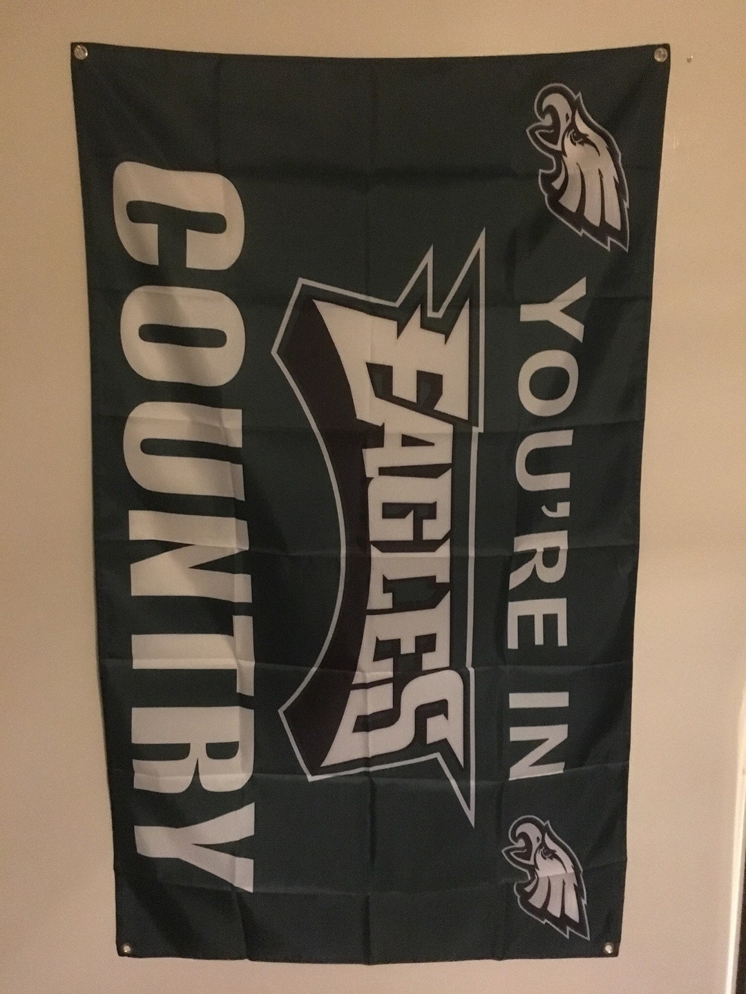 Philadelphia Eagles Youre in Eagles Country Flag - Etsy