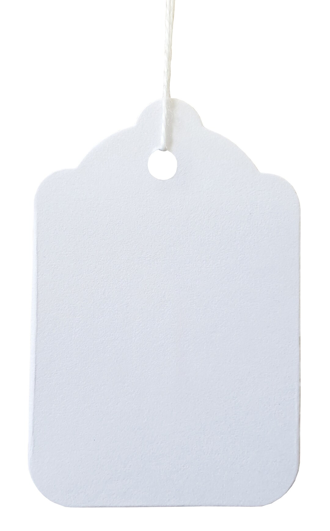 Swift Strung Tags White Card Clothing Tickets 55mm X 37mm pack of 100 ...