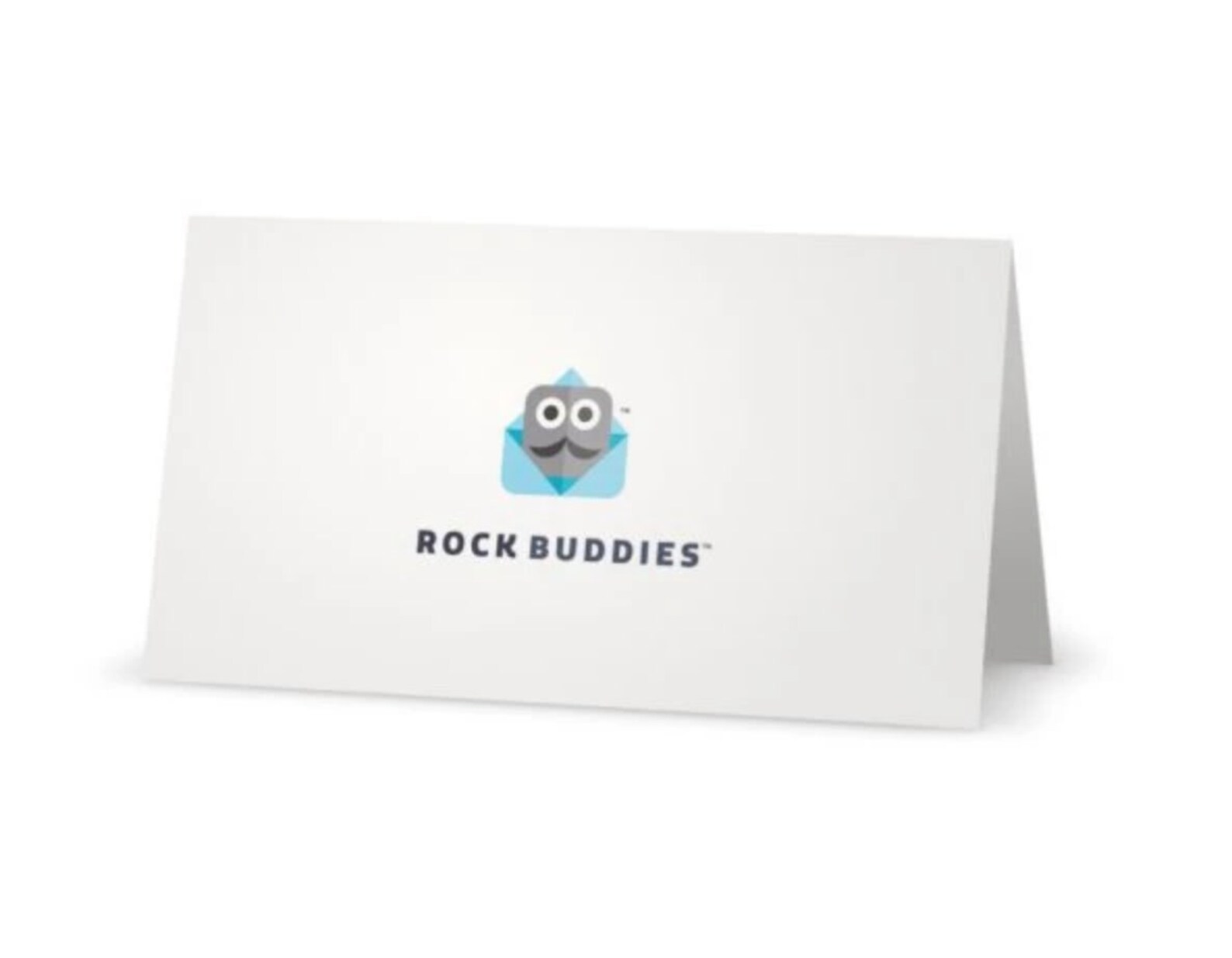 Rock Buddy BOY Gag Gift Rock Buddies Funny Gift Rock - Etsy