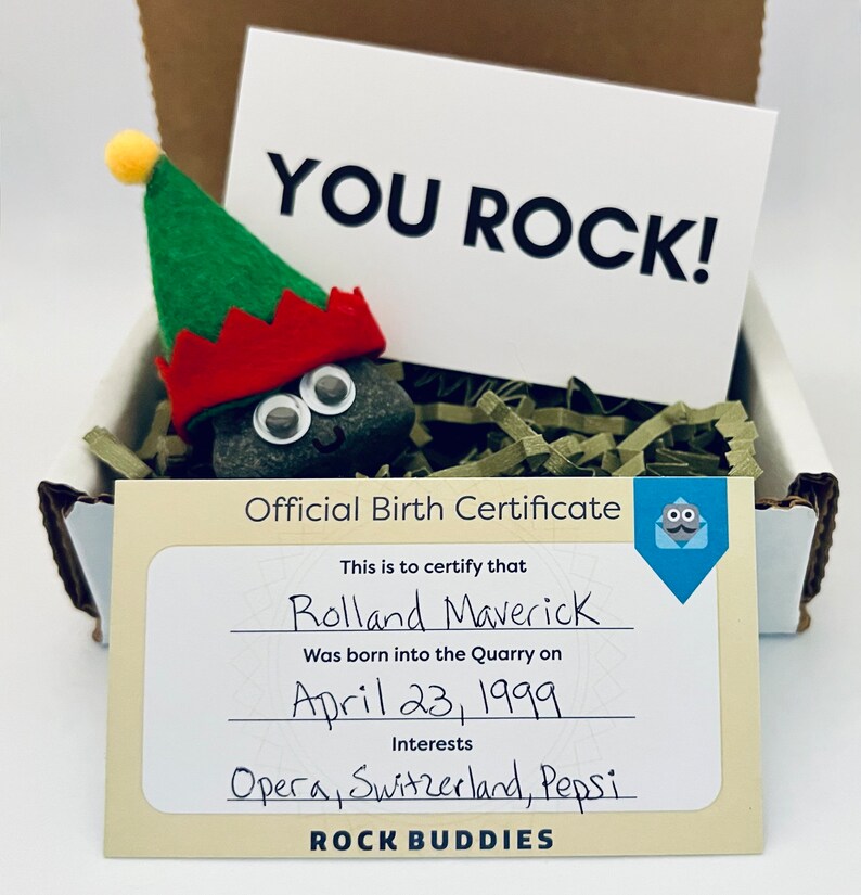 Rock Buddy (HOLIDAY HAT) Sent in A Box, You Rock Card, Rock Buddies ...