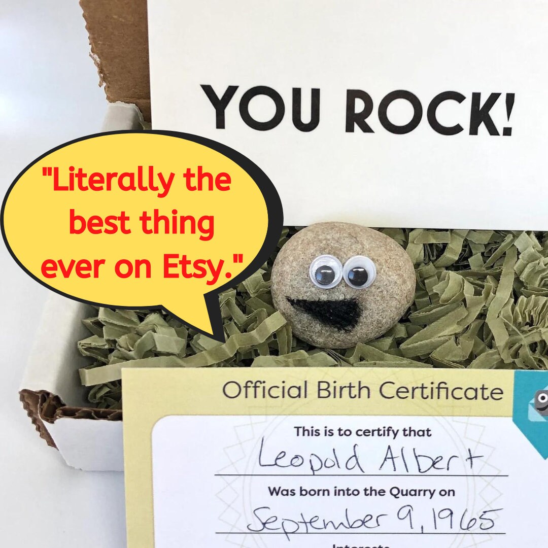 Rock Buddy BOY, Gag Gift, Rock Buddies, Funny Gift, Rock Pet, Anonymous ...