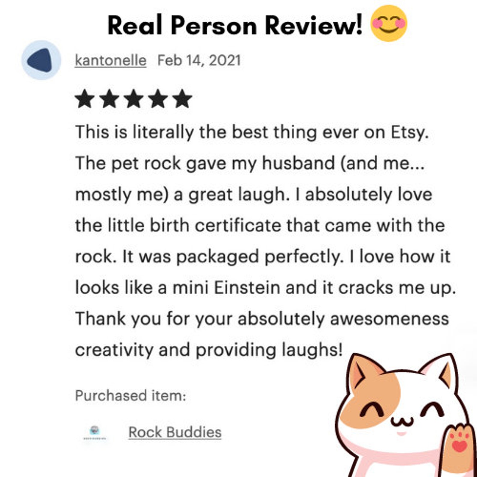 Rock Buddy BOY Gag Gift Rock Buddies Funny Gift Rock - Etsy