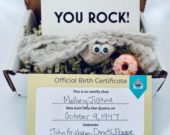 Pet Rock Certificate