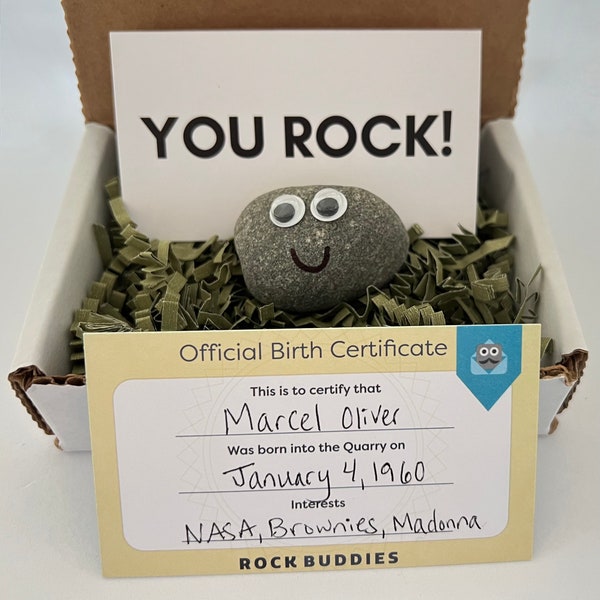 Pet Rock - Etsy