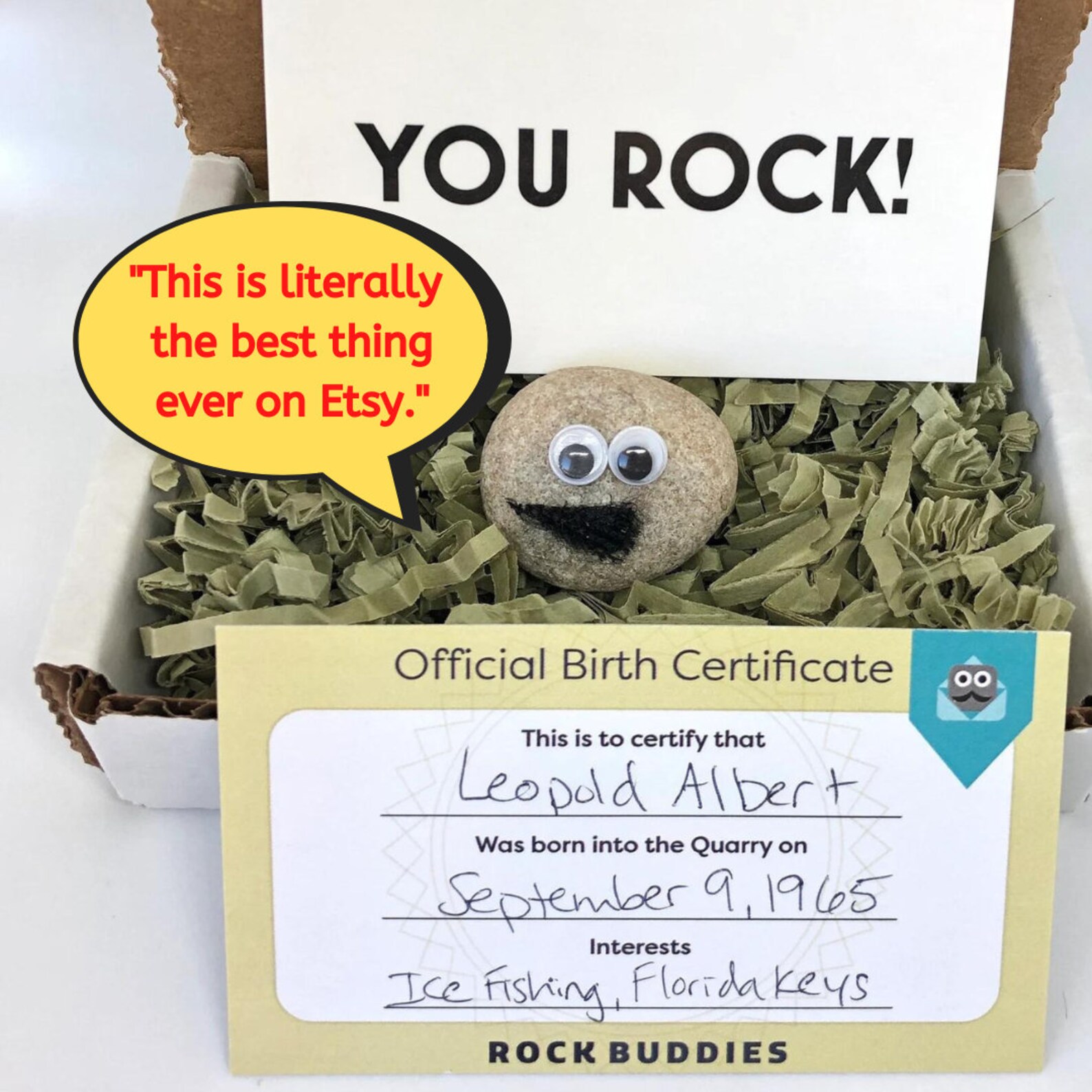 Rock Buddy BOY Gag Gift Rock Buddies Funny Gift Rock - Etsy