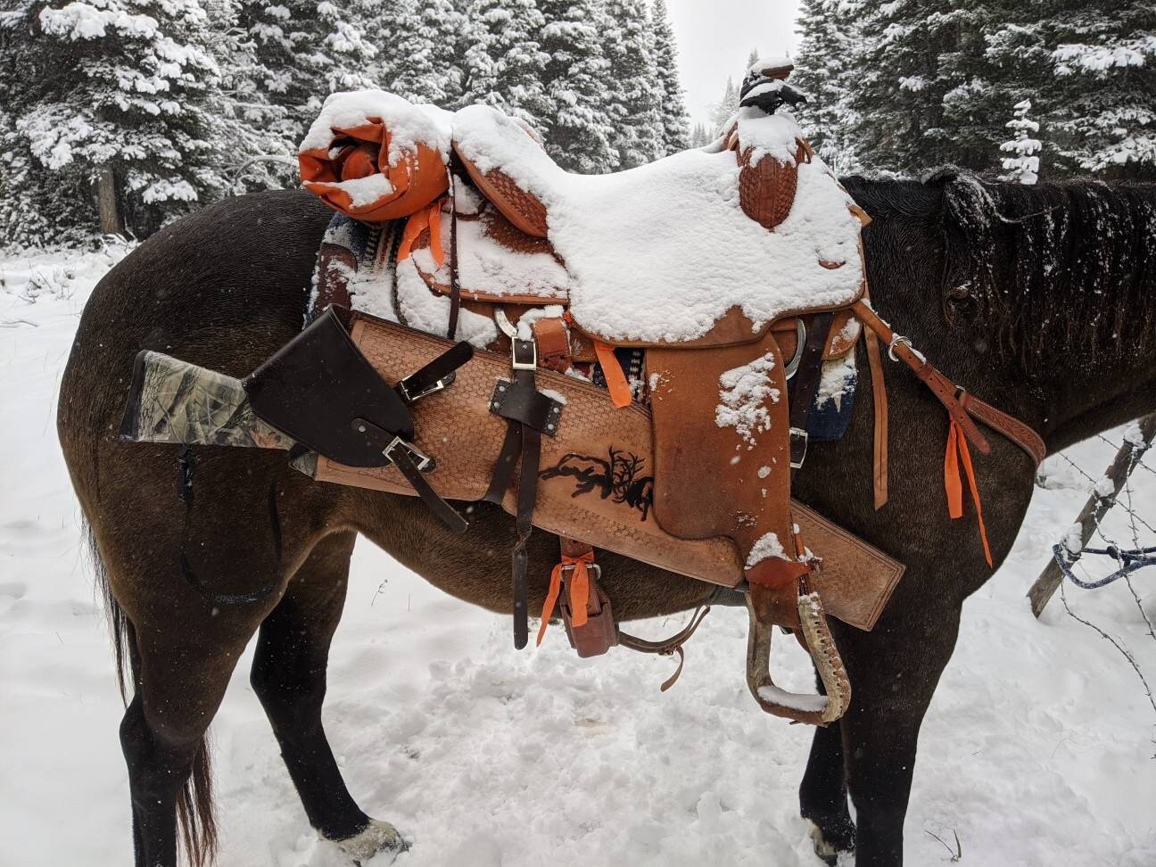 Hunting Rifle Scabbard - Etsy