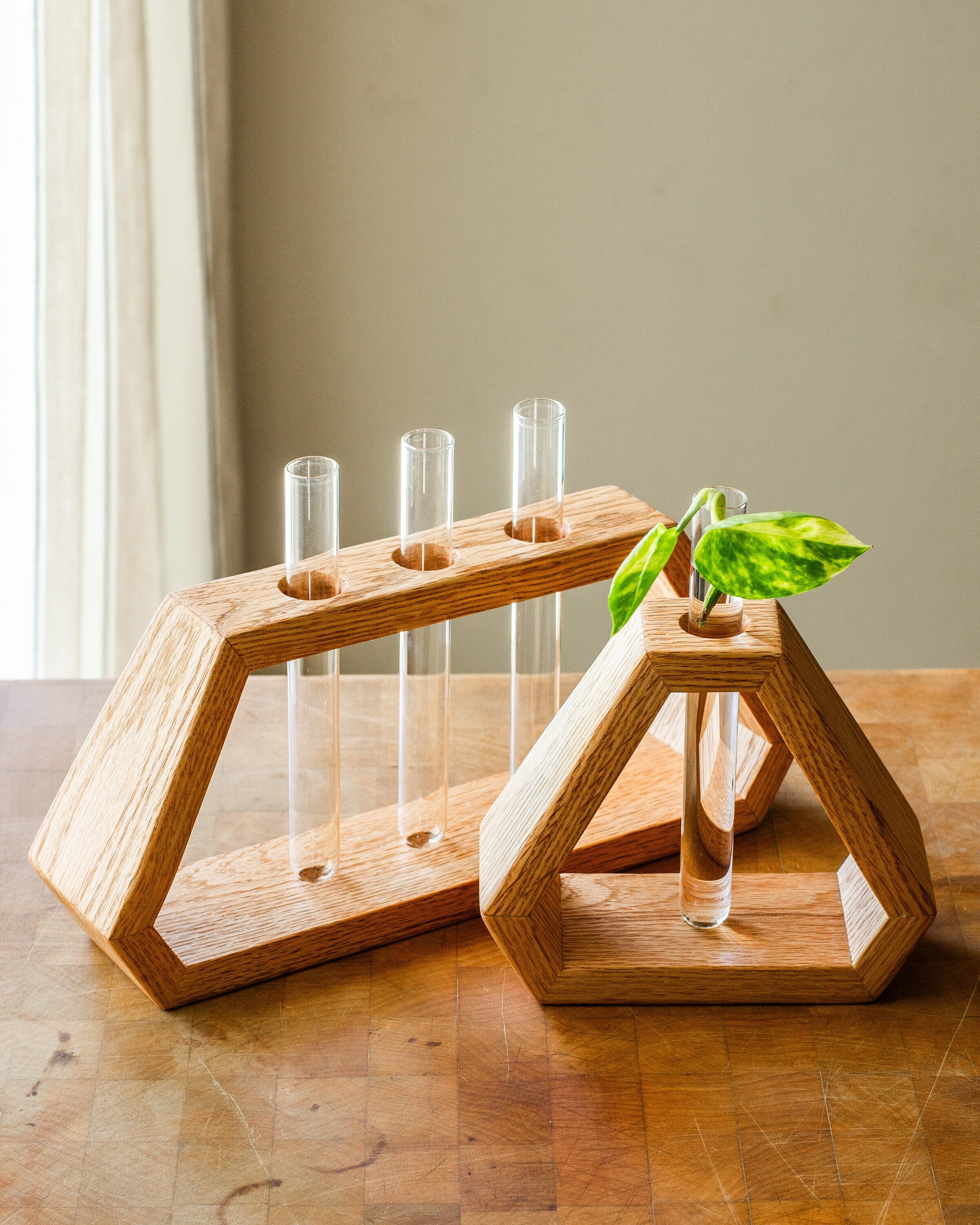 Propagation Station - Etsy