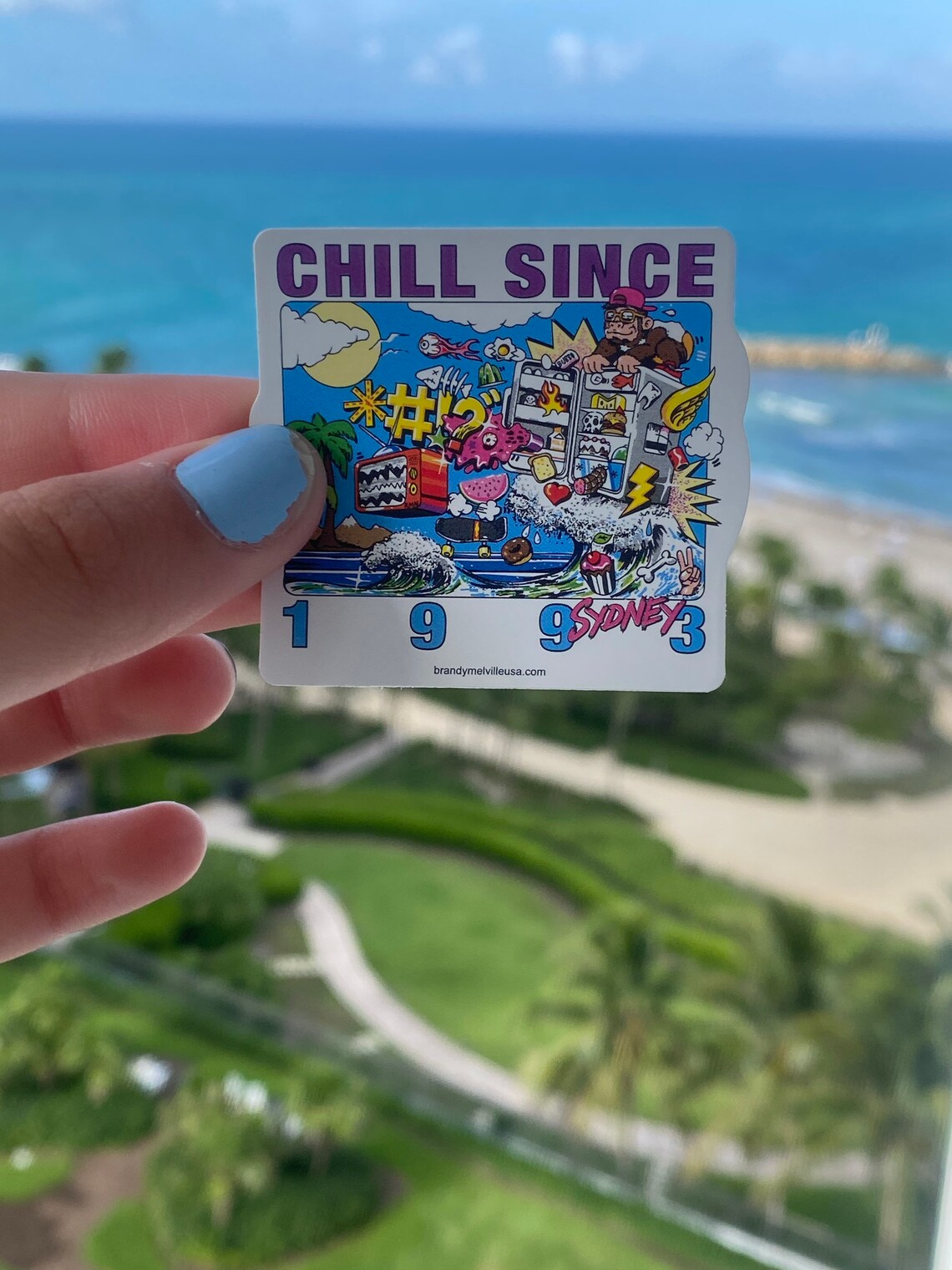 CHILL SINCE 1993 Brandy Melville Sticker - Etsy
