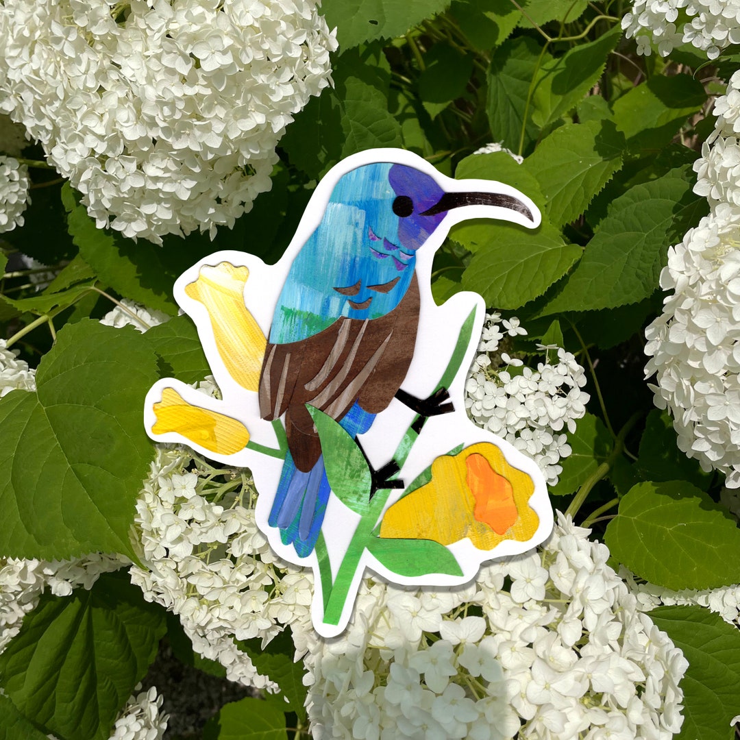 Palestine Sunbird Sticker - Etsy