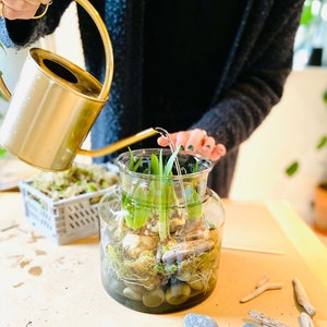 Spring Bulb Glass Planter/terrarium DIY Kit, Mothers Day Easter Table ...