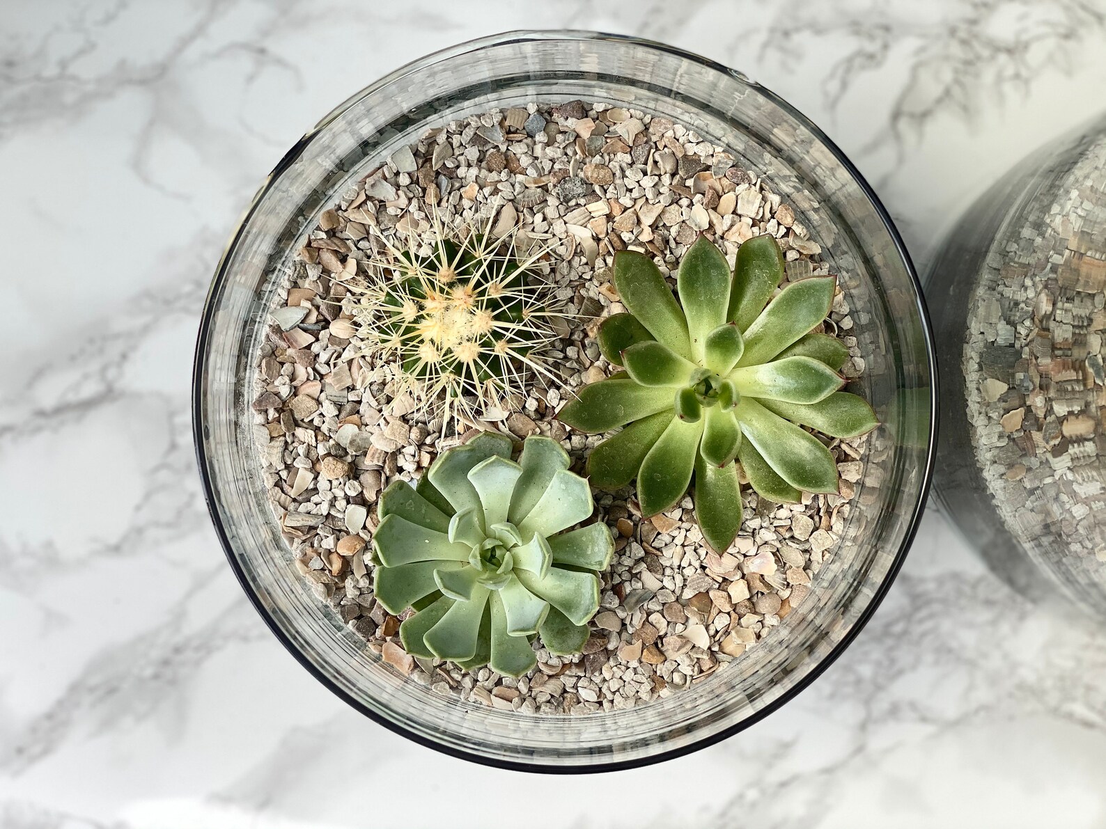 Small Tank Terrarium Kit Container Plus Terrarium Kit - Etsy UK