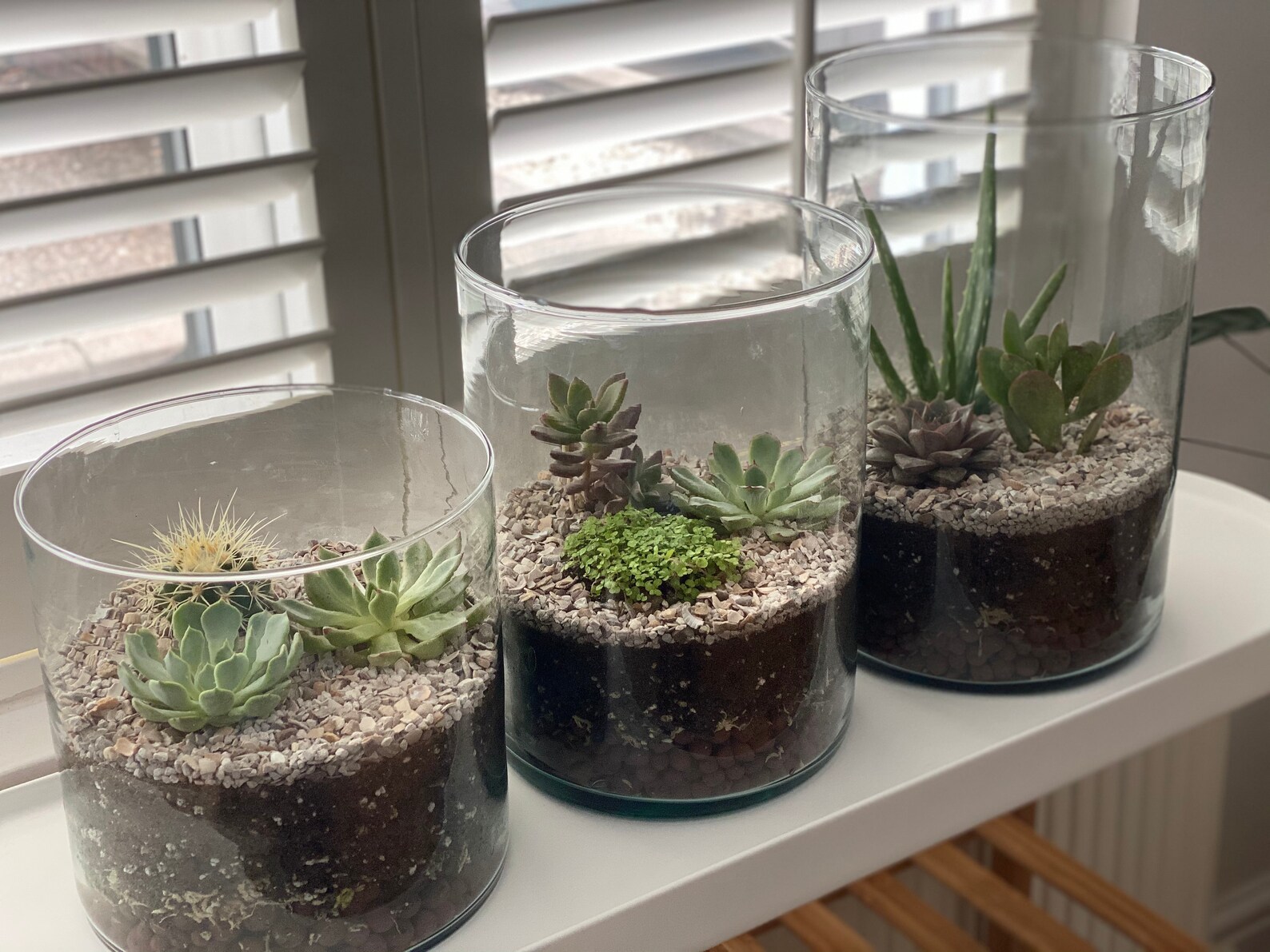 Small Tank Terrarium Kit Container Plus Terrarium Kit - Etsy UK