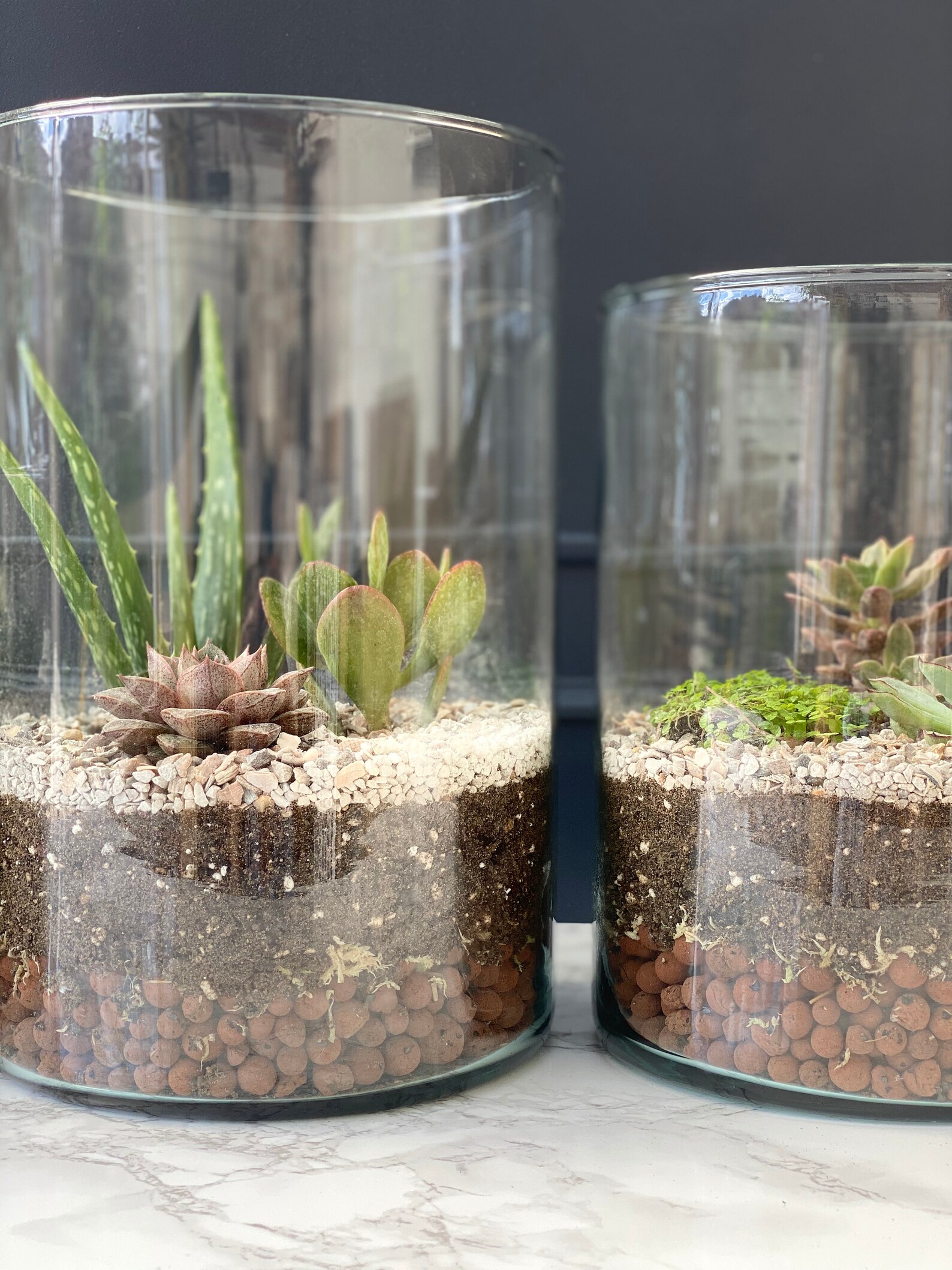 Small Tank Terrarium Kit Container Plus Terrarium Kit - Etsy UK