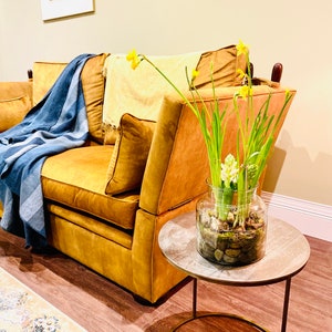 Spring Bulb Glass Planter/terrarium DIY Kit, Mothers Day Easter Table ...