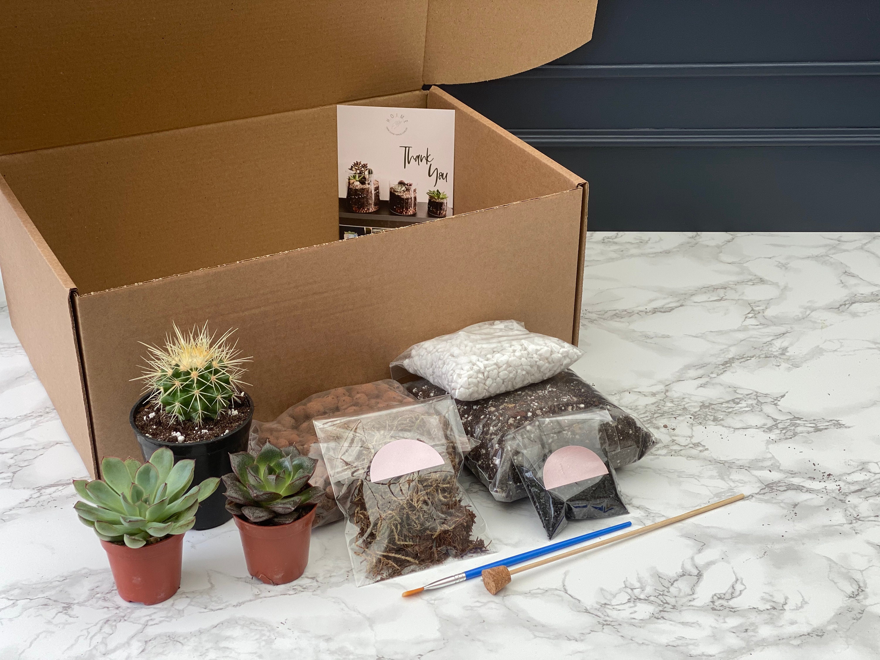 Small Tank Terrarium Kit Container Plus Terrarium Kit - Etsy UK